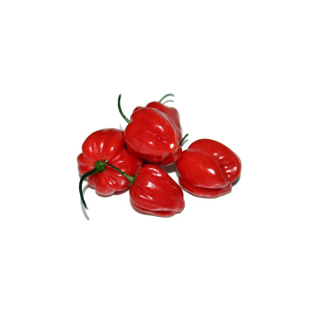 Aji rocoto 100 gr – Punto Fresco