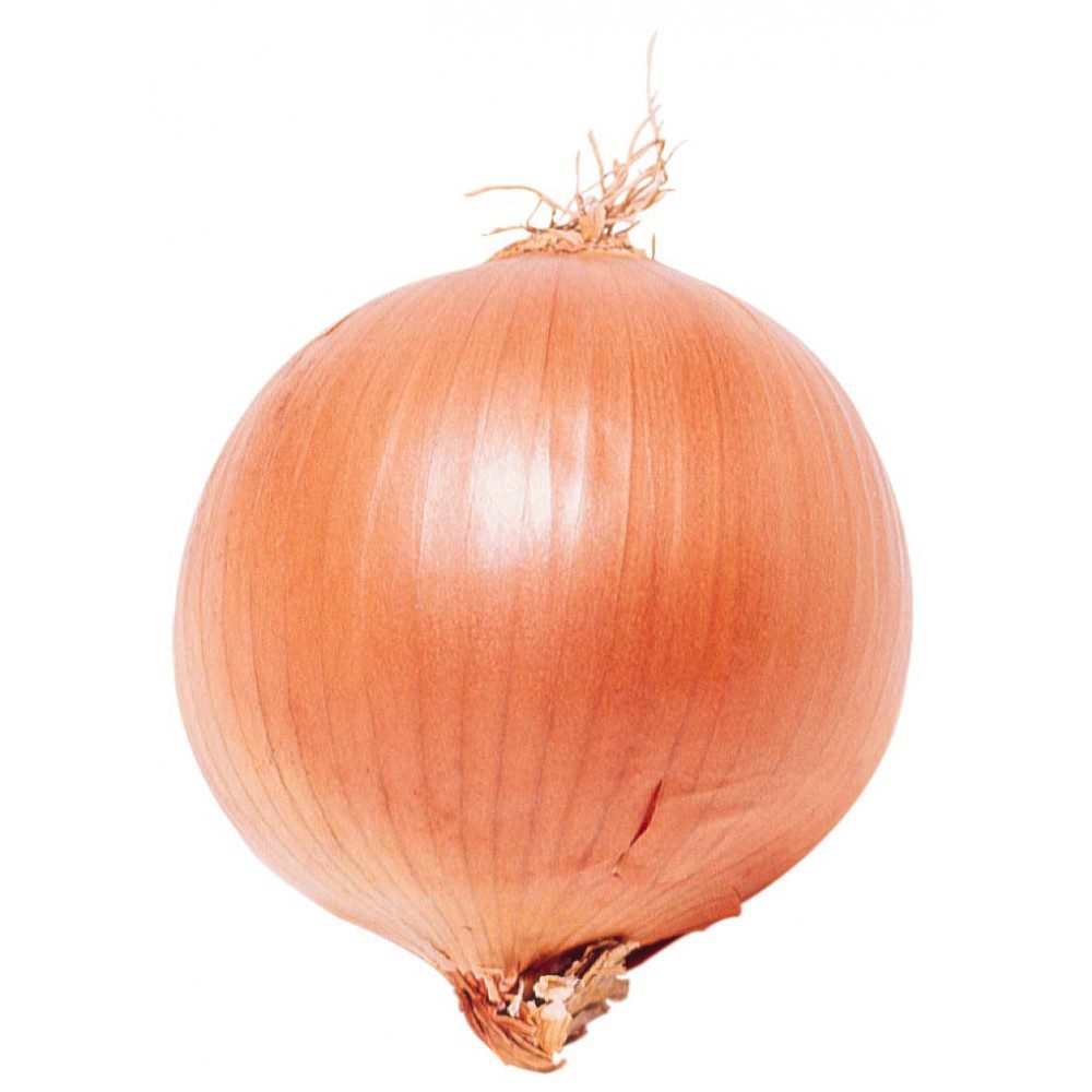 Cebolla unidad – Punto Fresco