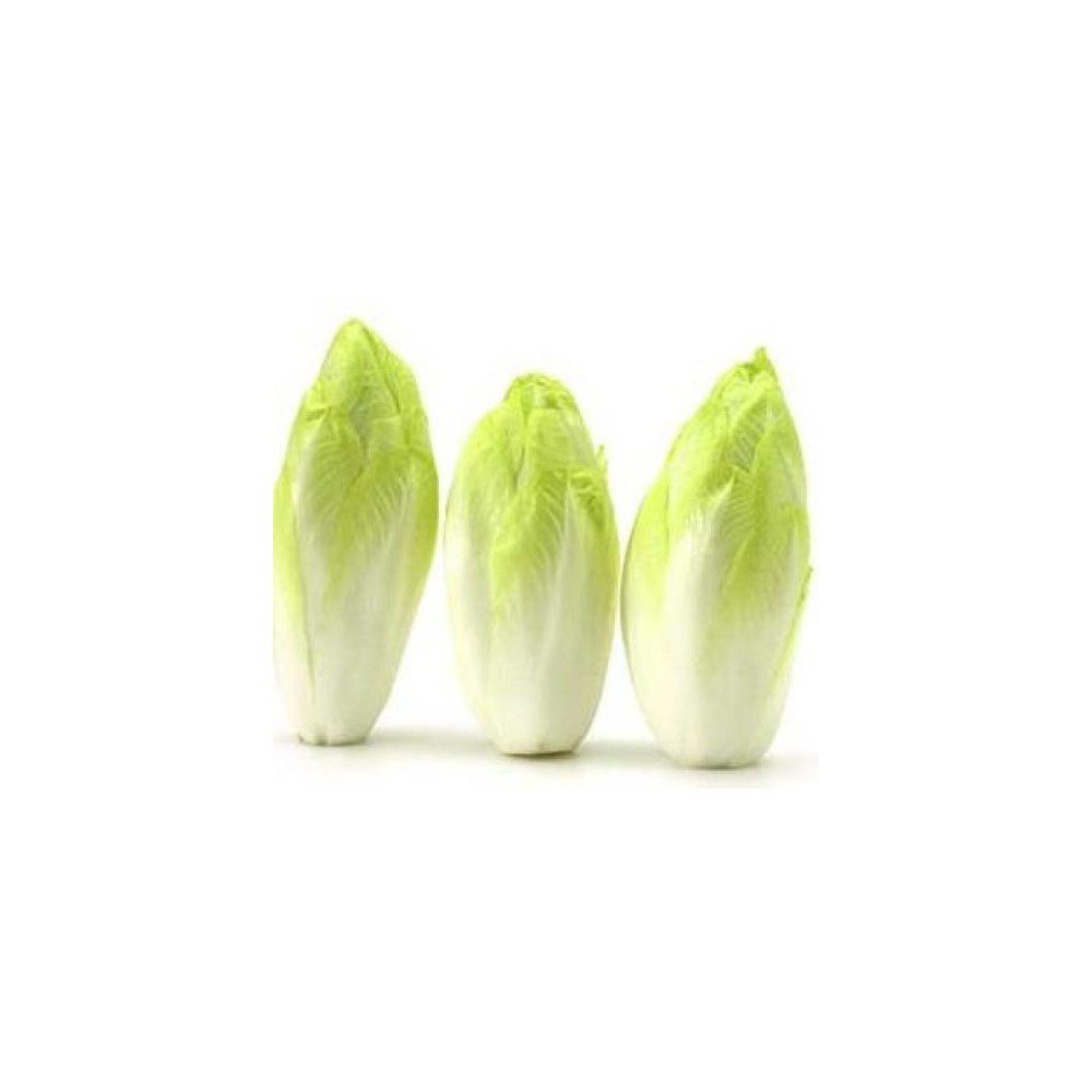 Endibia 500 gr – Punto Fresco