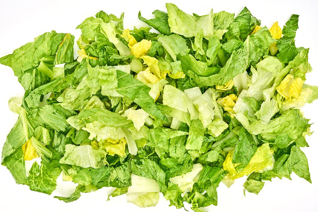 Lechuga Costina picada 150 gr – Punto Fresco