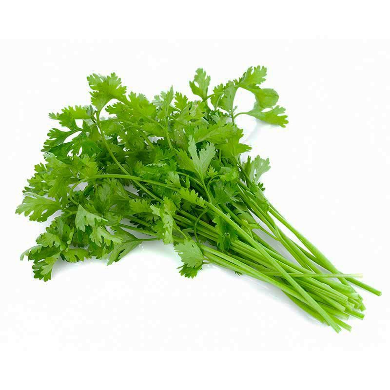 Cilantro kg – Punto Fresco